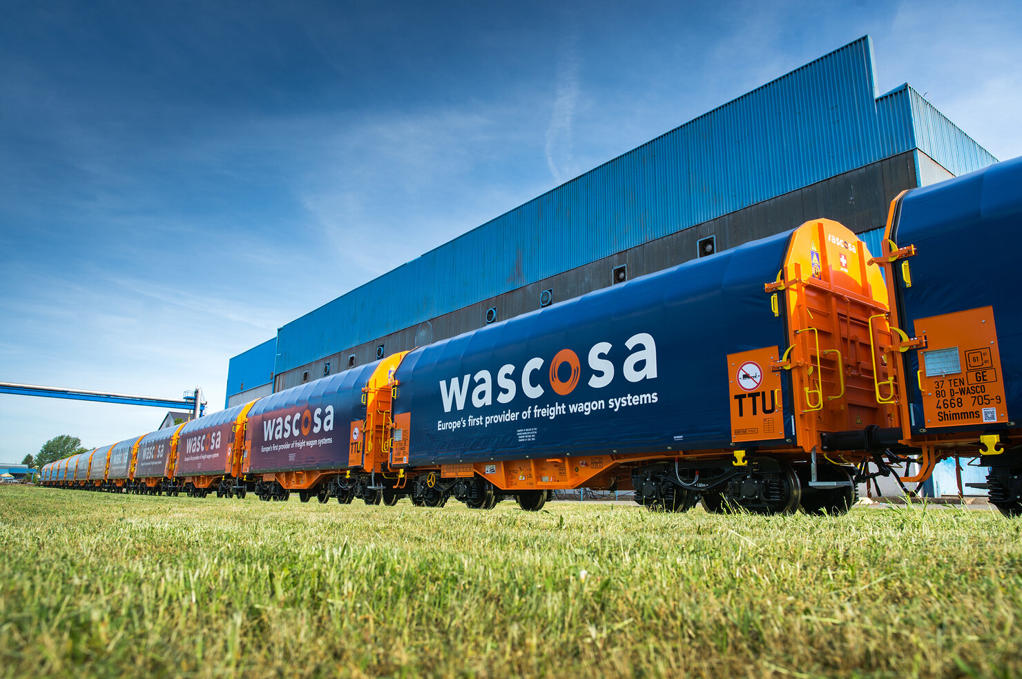 Wascosa Freight Wagons