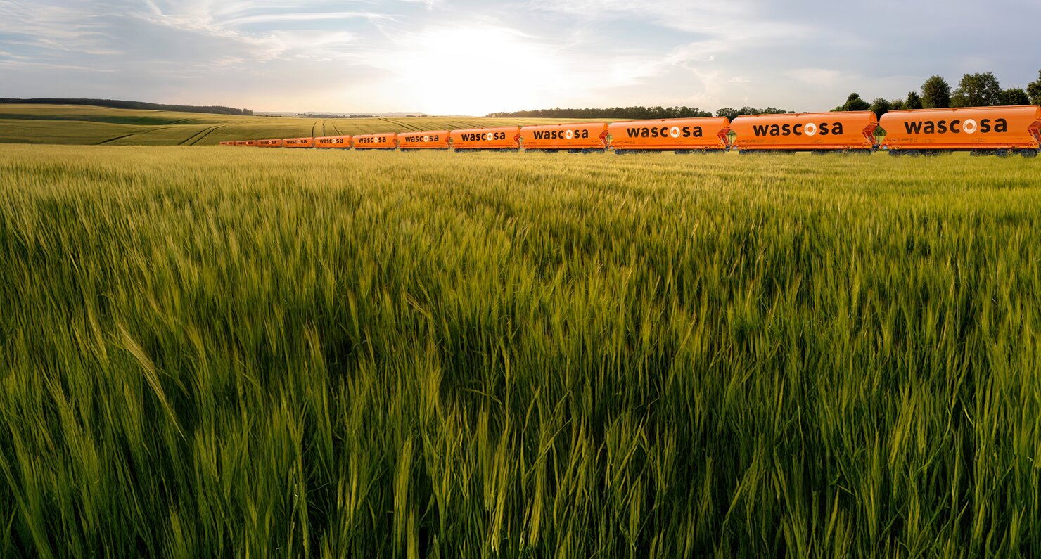 Wascosa Freight Wagons